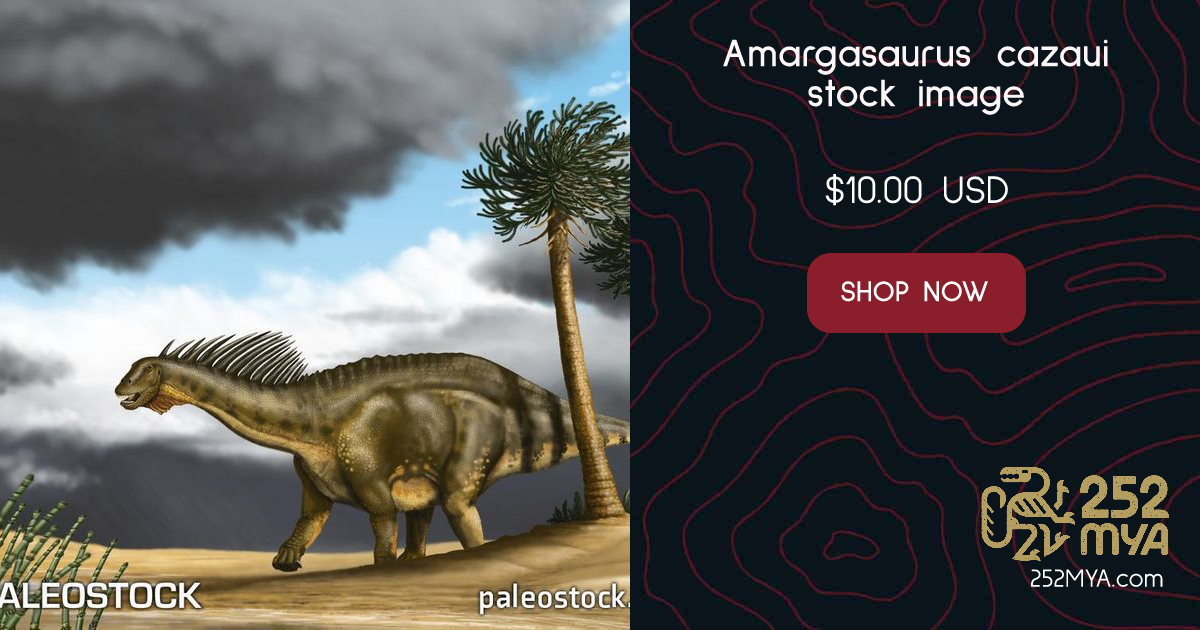 amargasaurus size