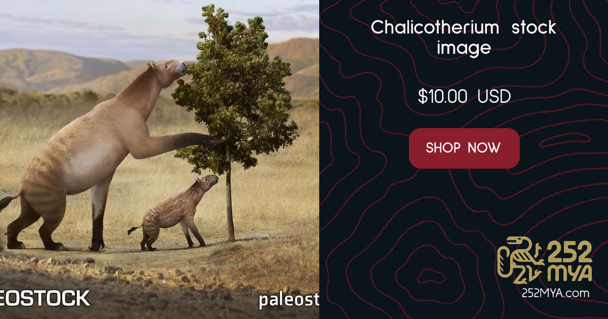 chalicotherium