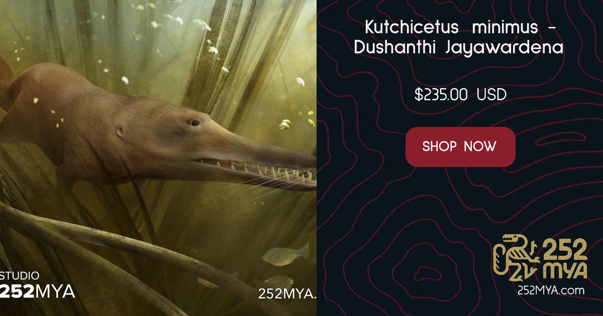 kutchicetus