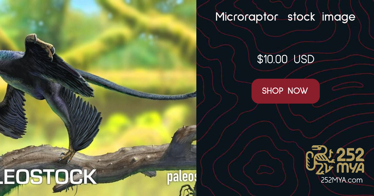 microraptor roar