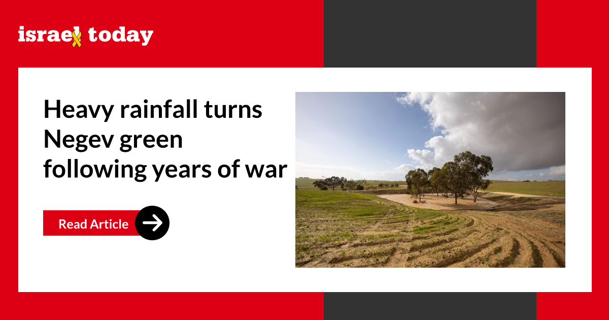 Heavy rainfall turns Negev green following years of war - Israel Today
