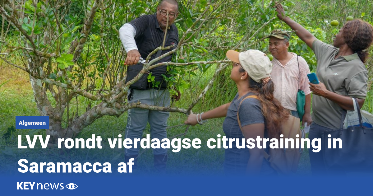 LVV rondt vierdaagse citrustraining in Saramacca af - KEY NEWS SURINAME
